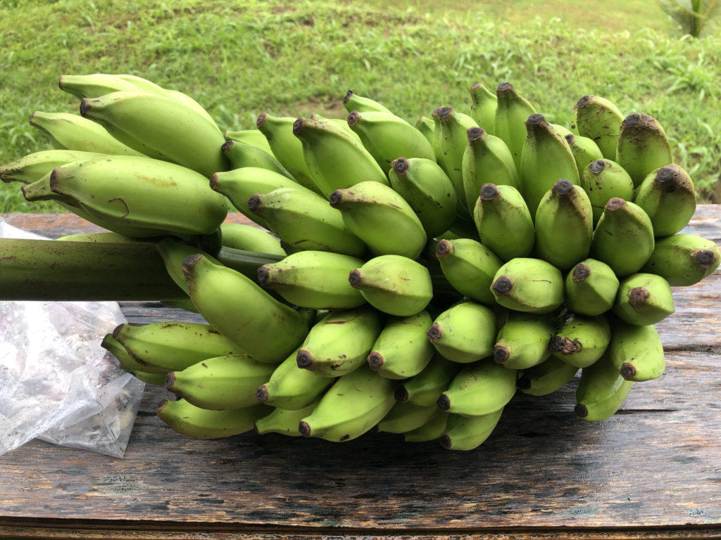 Northern Marianas Humanities Council – Navigating the human experience.