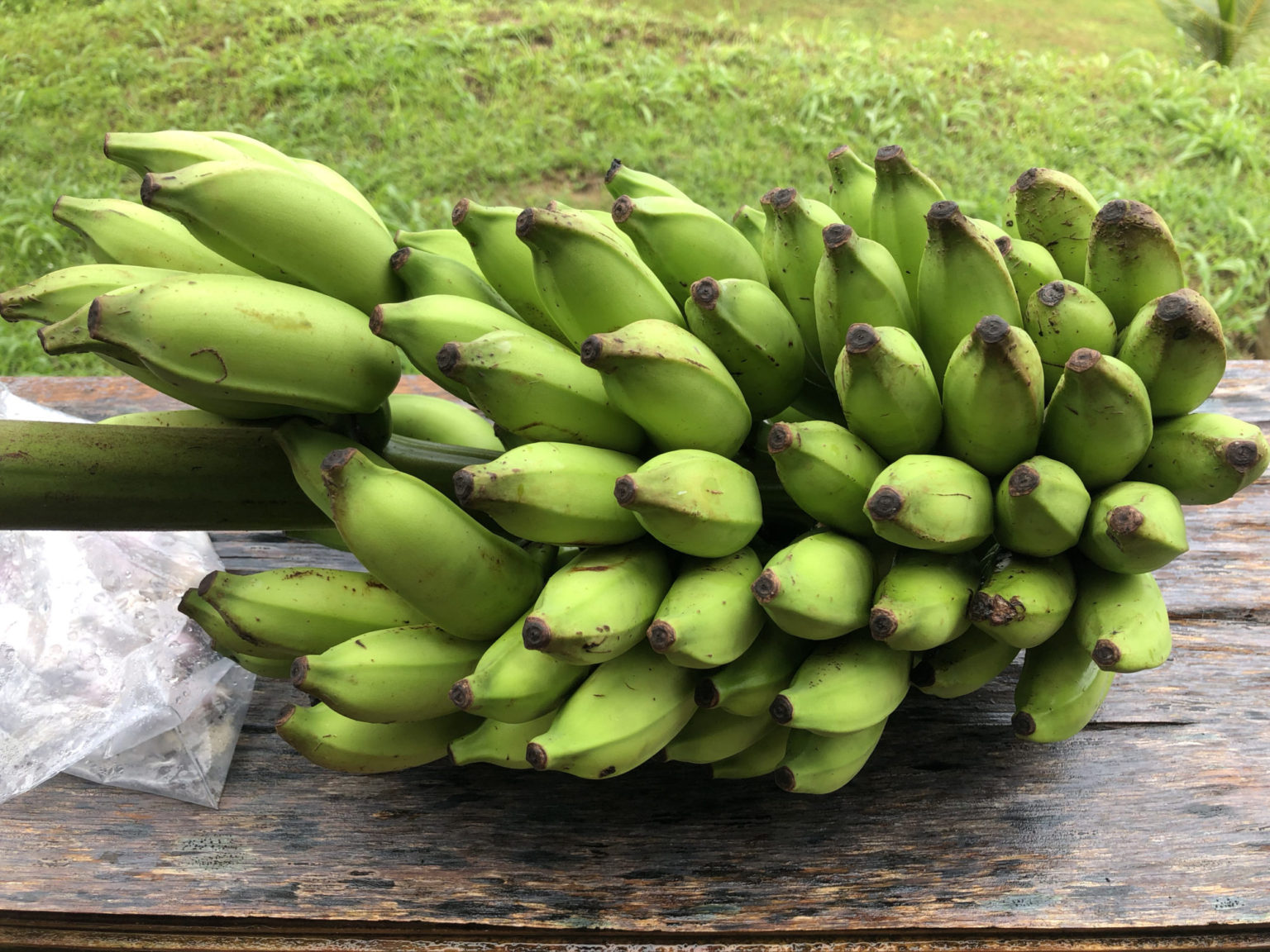 Northern Marianas Humanities Council – Navigating the human experience.